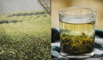 A Traditional Longjing Tea Ceremony in China's "Heaven on Earth"