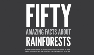 50 Interesting and Incredible Facts About Rainforests - The Cultureist