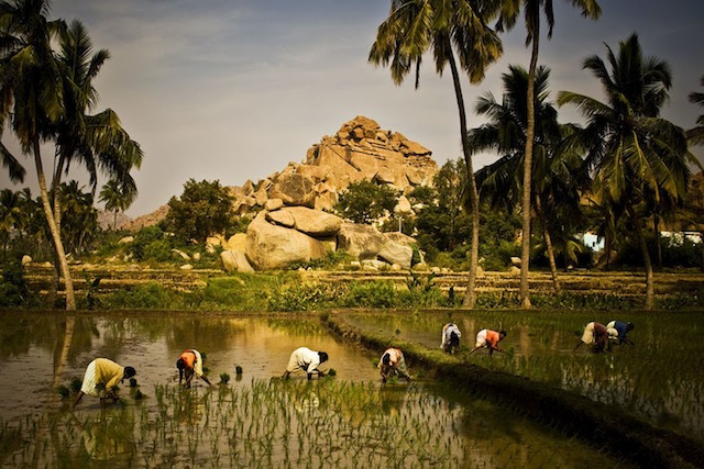 Cultures and Landscapes of Southern India, a Stunning Photo Essay