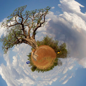 Rooting for Roona: A Film with a Mission to Change India's Healthcare ...