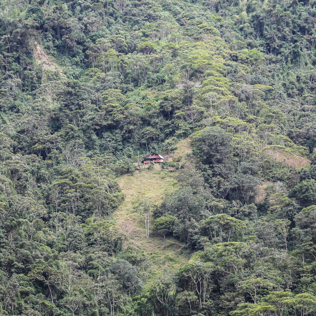 CHANGEMAKER | The Culture-ist