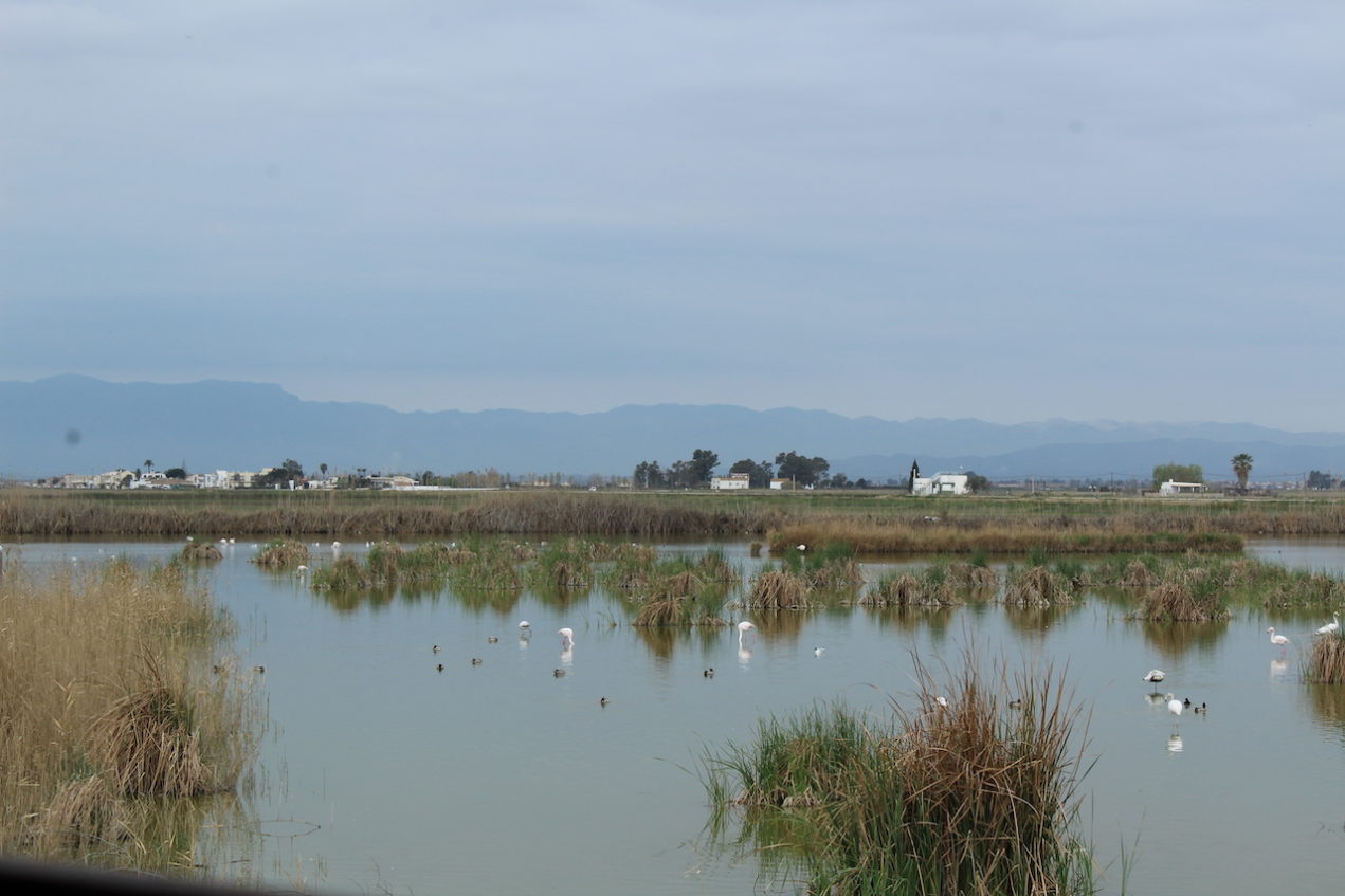 Insight: What to do in Bordeaux, the French Phoenix